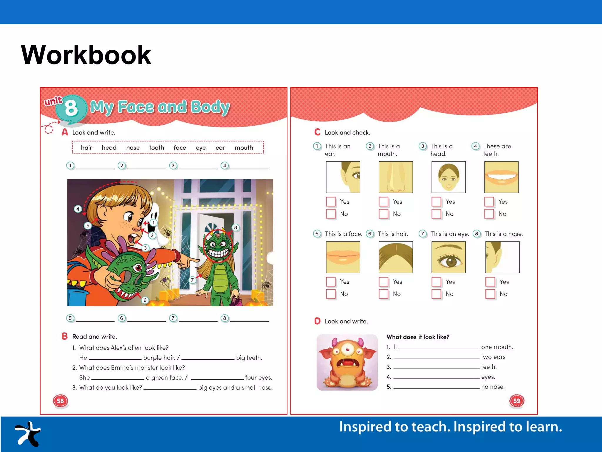 Hang out with the four strand theory!