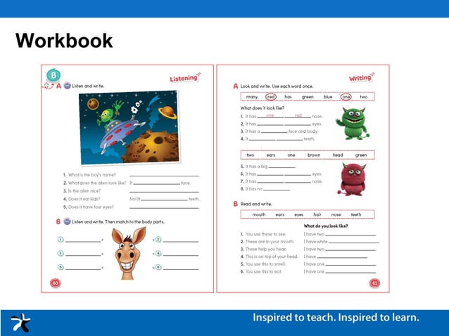 Hang out with the four strand theory!