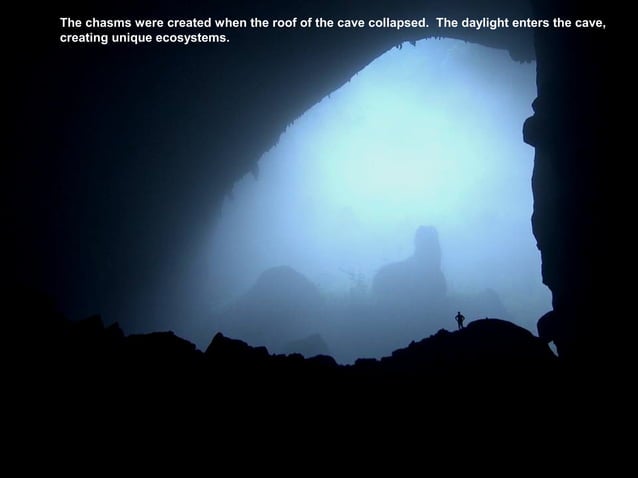 World's Largest Cave | PPS