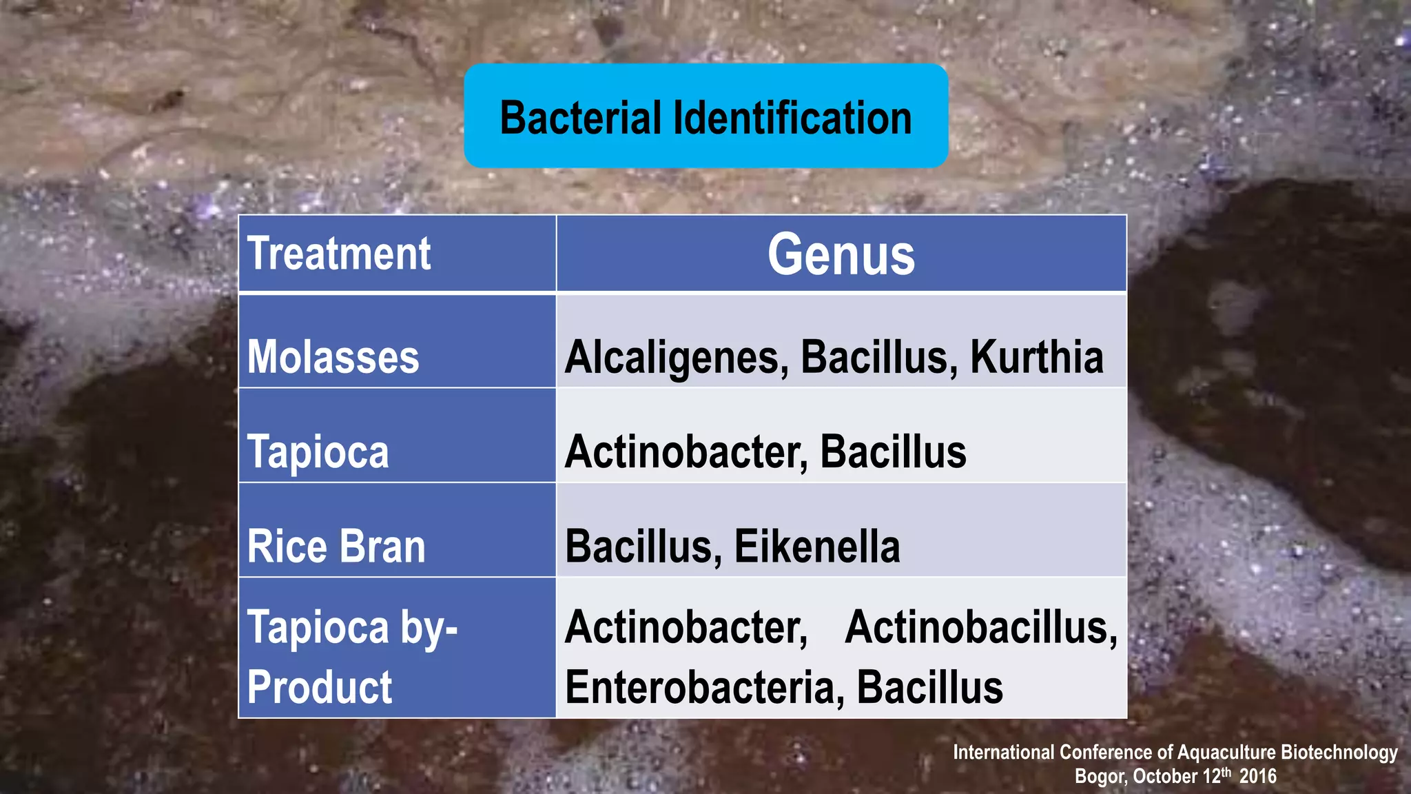 Biofloc in Vanname (Litopenaeus vannamei) Culture | PPTX