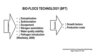 Biofloc in Vanname (Litopenaeus vannamei) Culture | PPTX