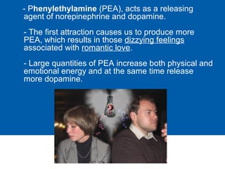 Hanipsych, neurobiology of love | PPT