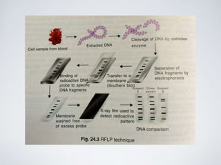 DNA TYPING | PPTX