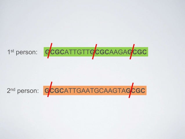 DNA TYPING | PPTX | Genetics | Science