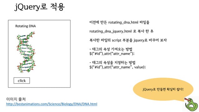 Bioinformaitcs Web Programming - Han Joohyun | PDF