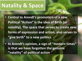 Hannah arendt week 4.slideshare | PPT