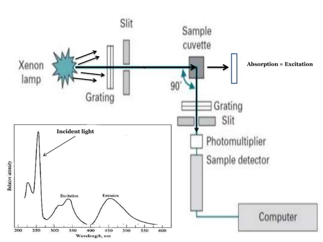 Spectrofluorimetry | PPTX | Chemistry | Science