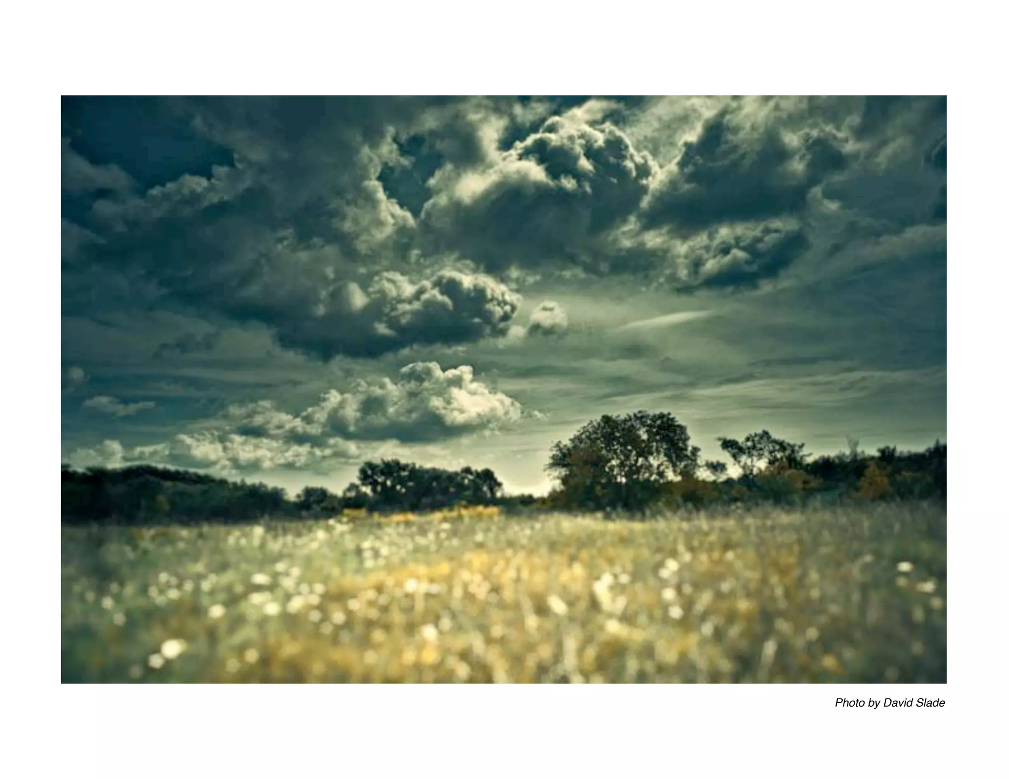 Hannibal nbc 101 aperitif illustrated-script | PPT