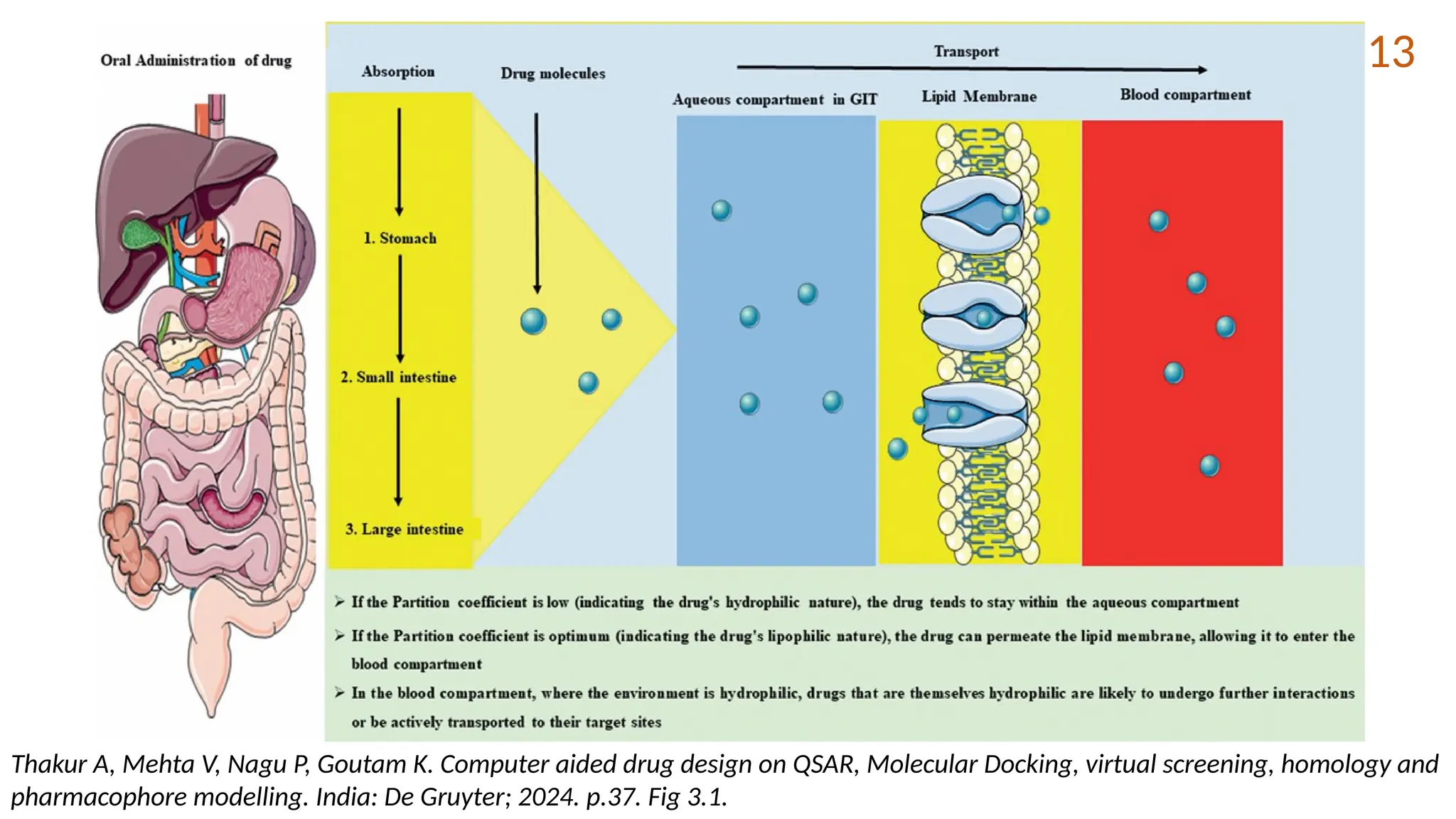 HANSCH ANALYSIS IN QSAR in principles of drug discovery | PPTX