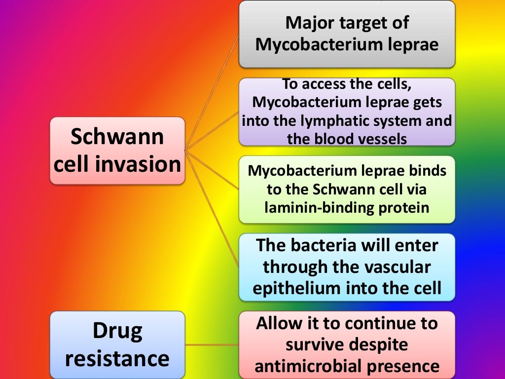 Hansen disease medical microbiology presentation by Ruth Naomi Manuel