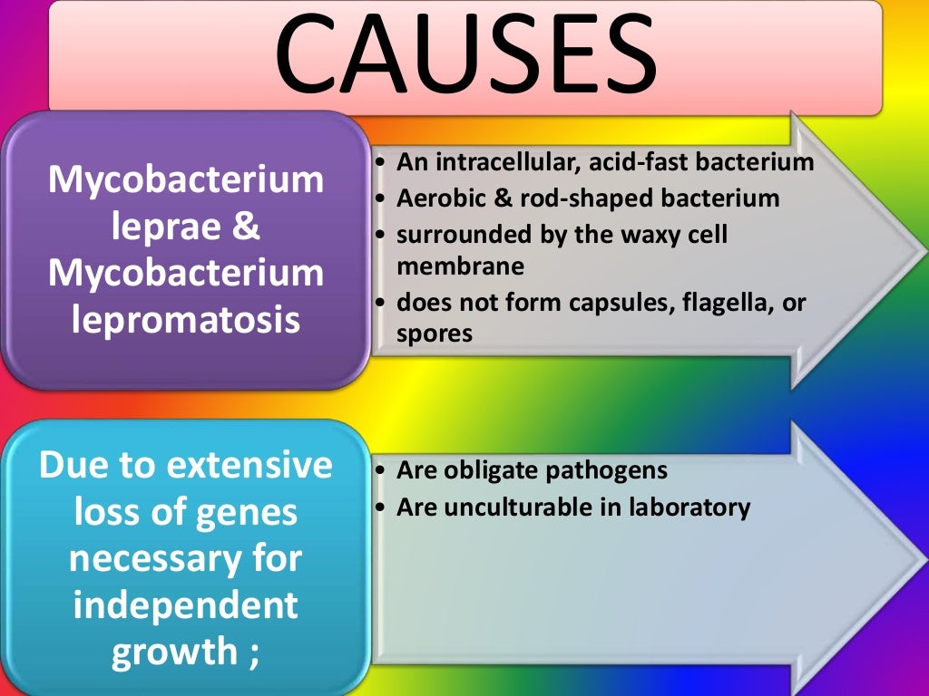 Hansen disease medical microbiology presentation by Ruth Naomi Manuel