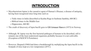 Hansens disease | PPT