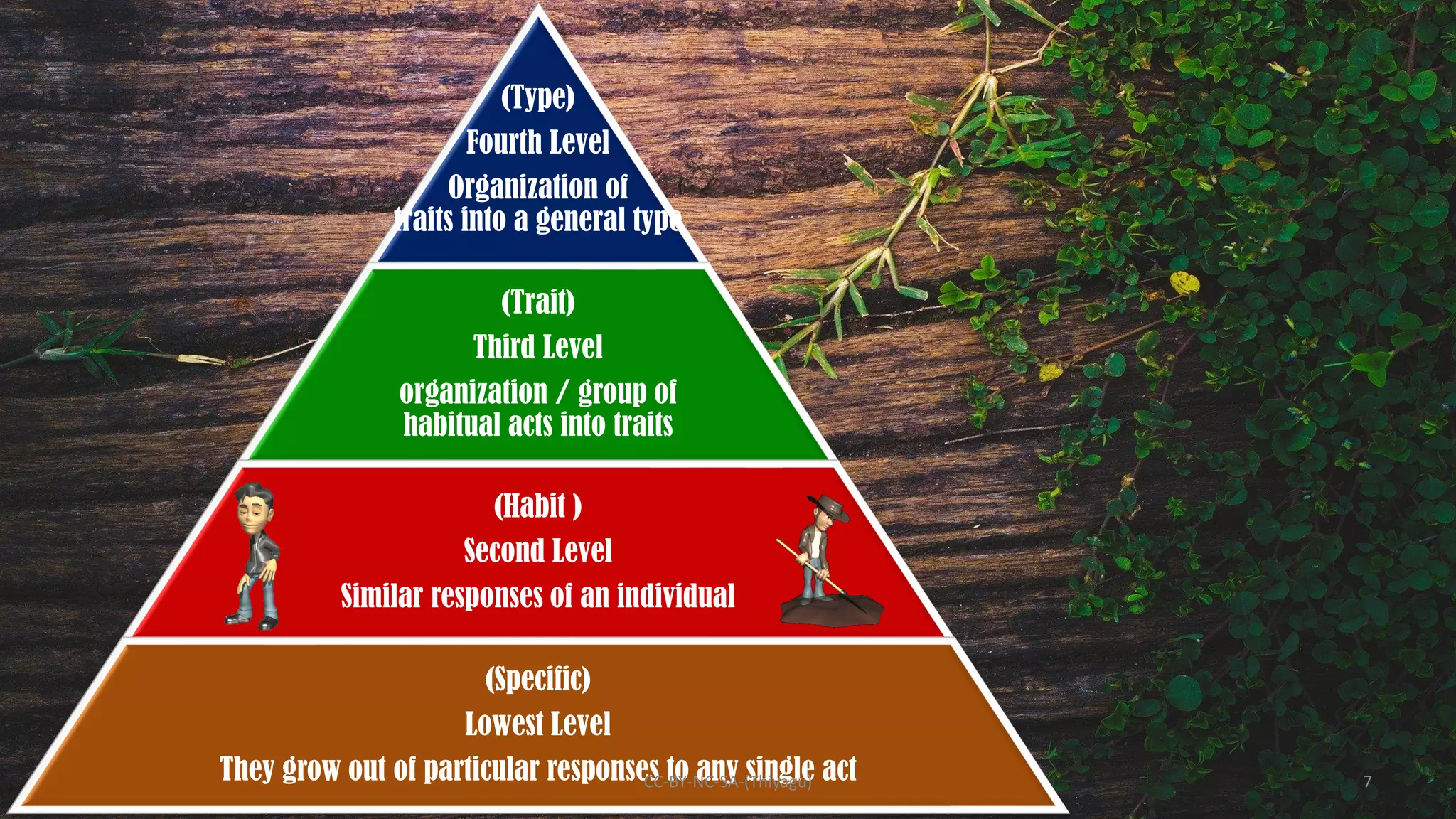 Hans Eysenck Personality Theory Type Cum Trait Approach Ppt