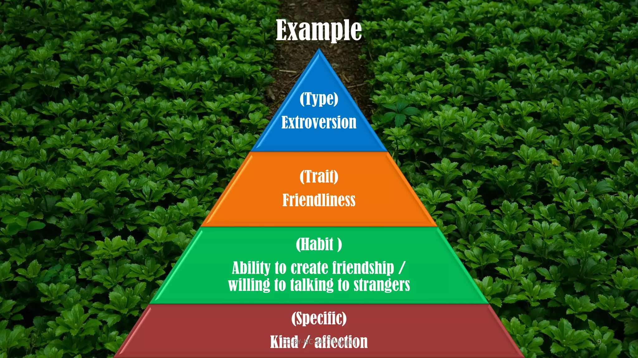 Hans Eysenck Personality Theory Type Cum Trait Approach Ppt