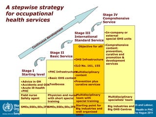 Primary Health Care, Objectives, Principles and Policy Directions | PDF