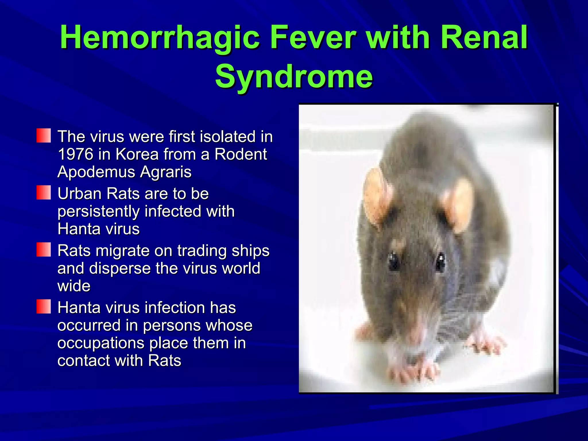 Hanta virus-1217124829483391-9 | PPT
