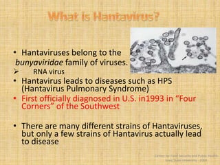 Hantavirus | PPTX