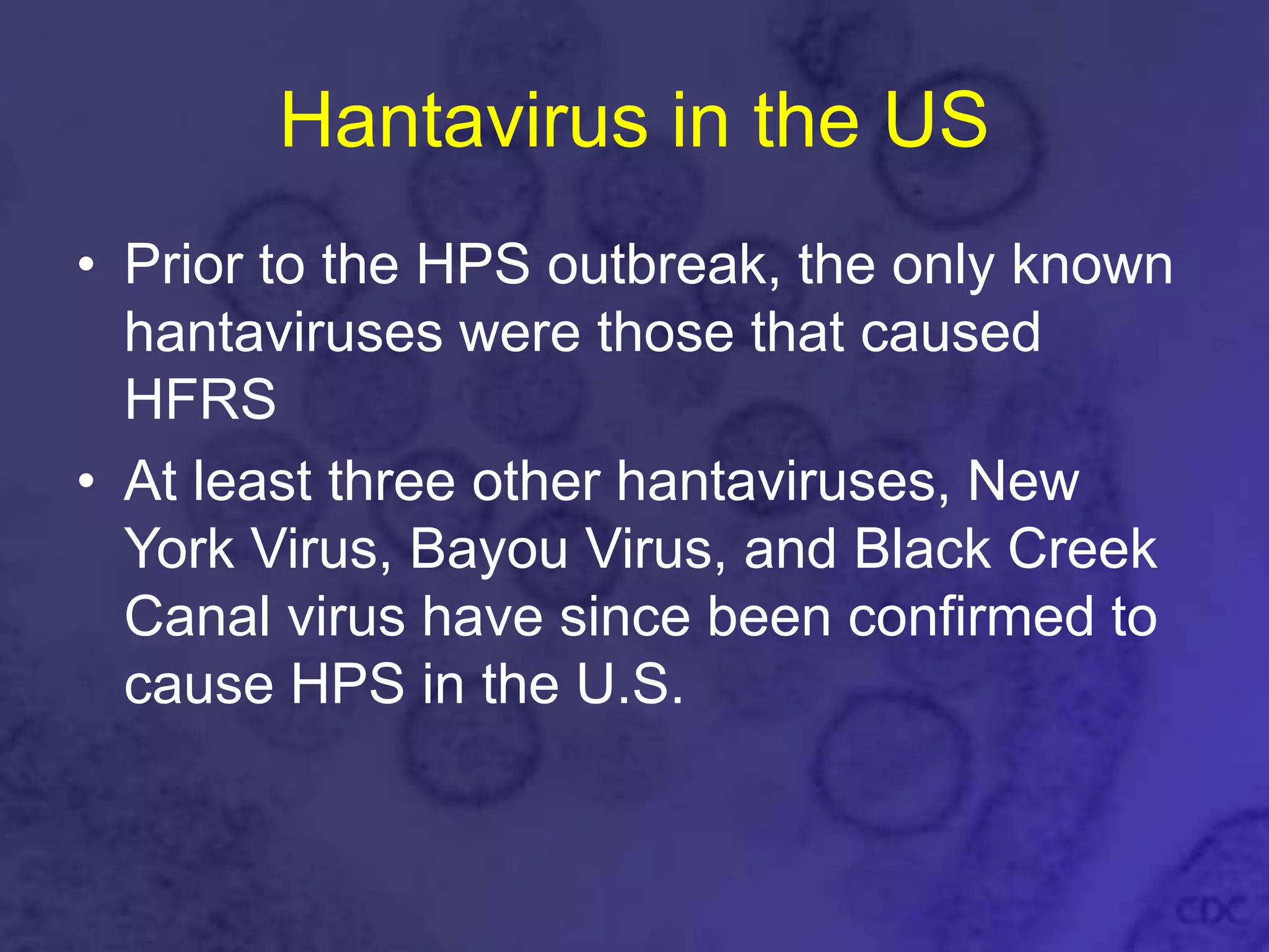 Hantavirus.ppt