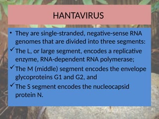 hantavirusppt-0770629312mandelagodfreyLo | PPTX