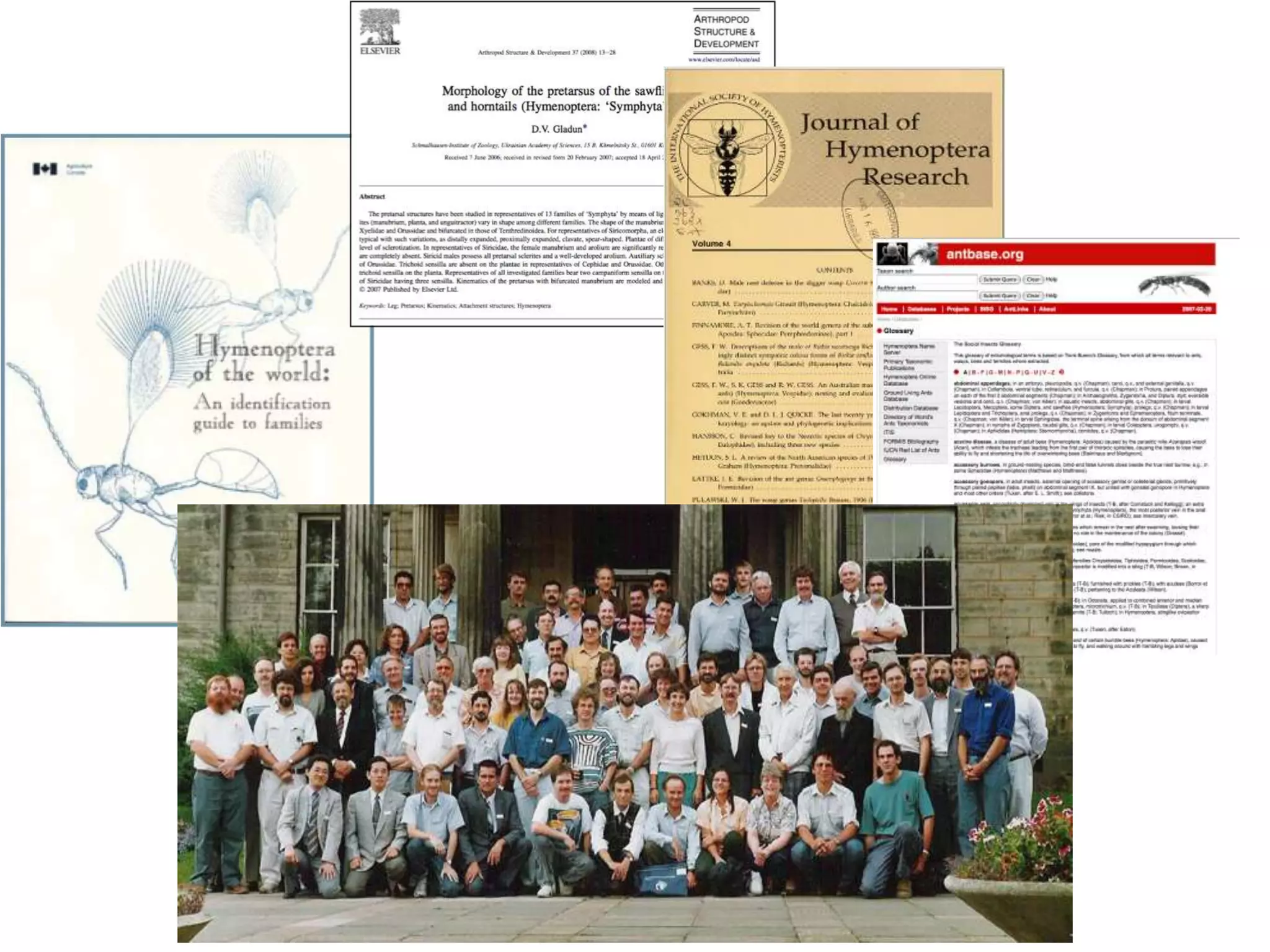 Extraction and reflection: early evolution of the Hymenoptera Anatomy ...