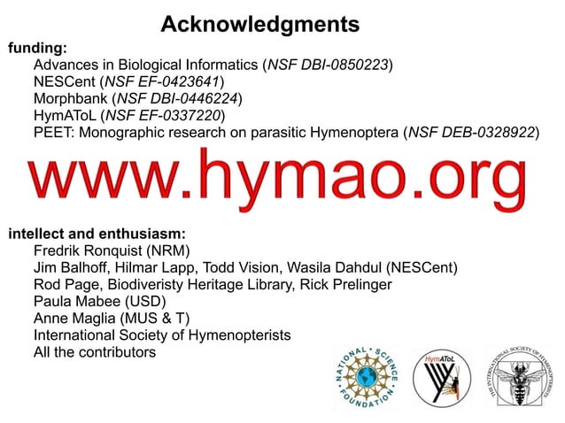 Extraction and reflection: early evolution of the Hymenoptera Anatomy ...