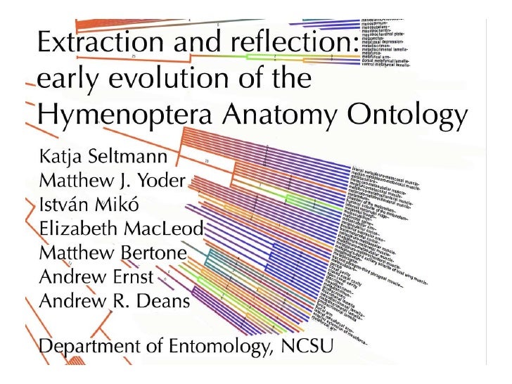 Extraction and reflection: early evolution of the Hymenoptera Anatomy ...