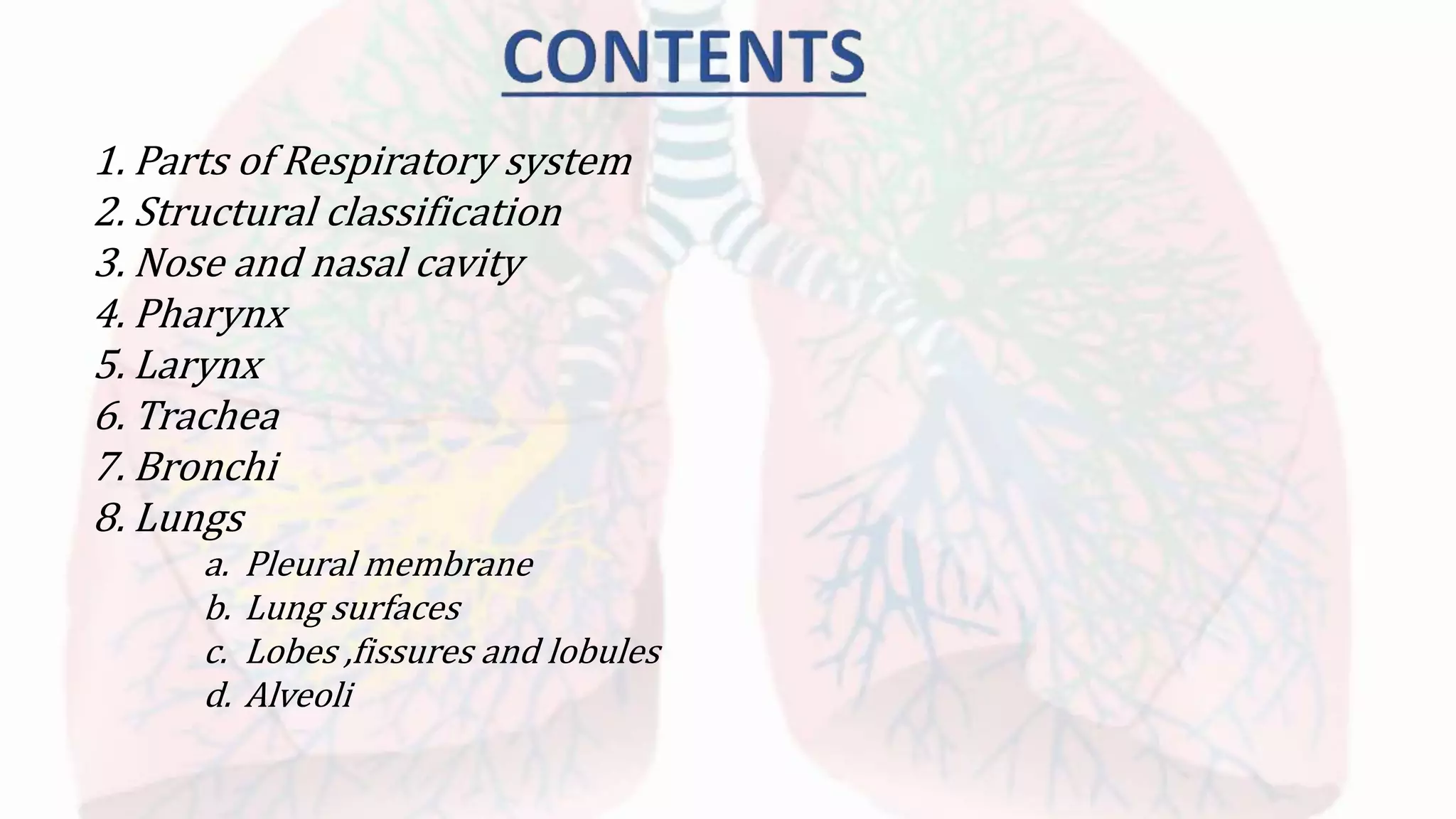 Anatomy of Respiratory System | PPTX