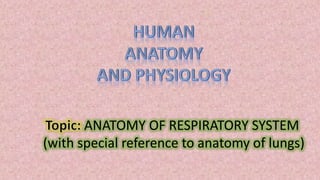 Anatomy of Respiratory System | PPTX
