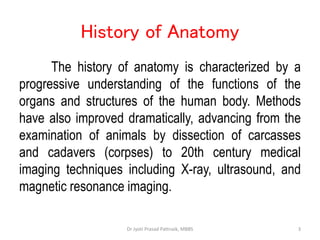 Human Anatomy and Physiology : Introduction | PPT