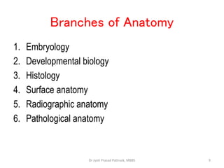 Human Anatomy and Physiology : Introduction | PPT