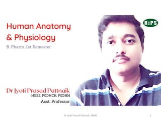 Human Anatomy and Physiology : Introduction | PPT