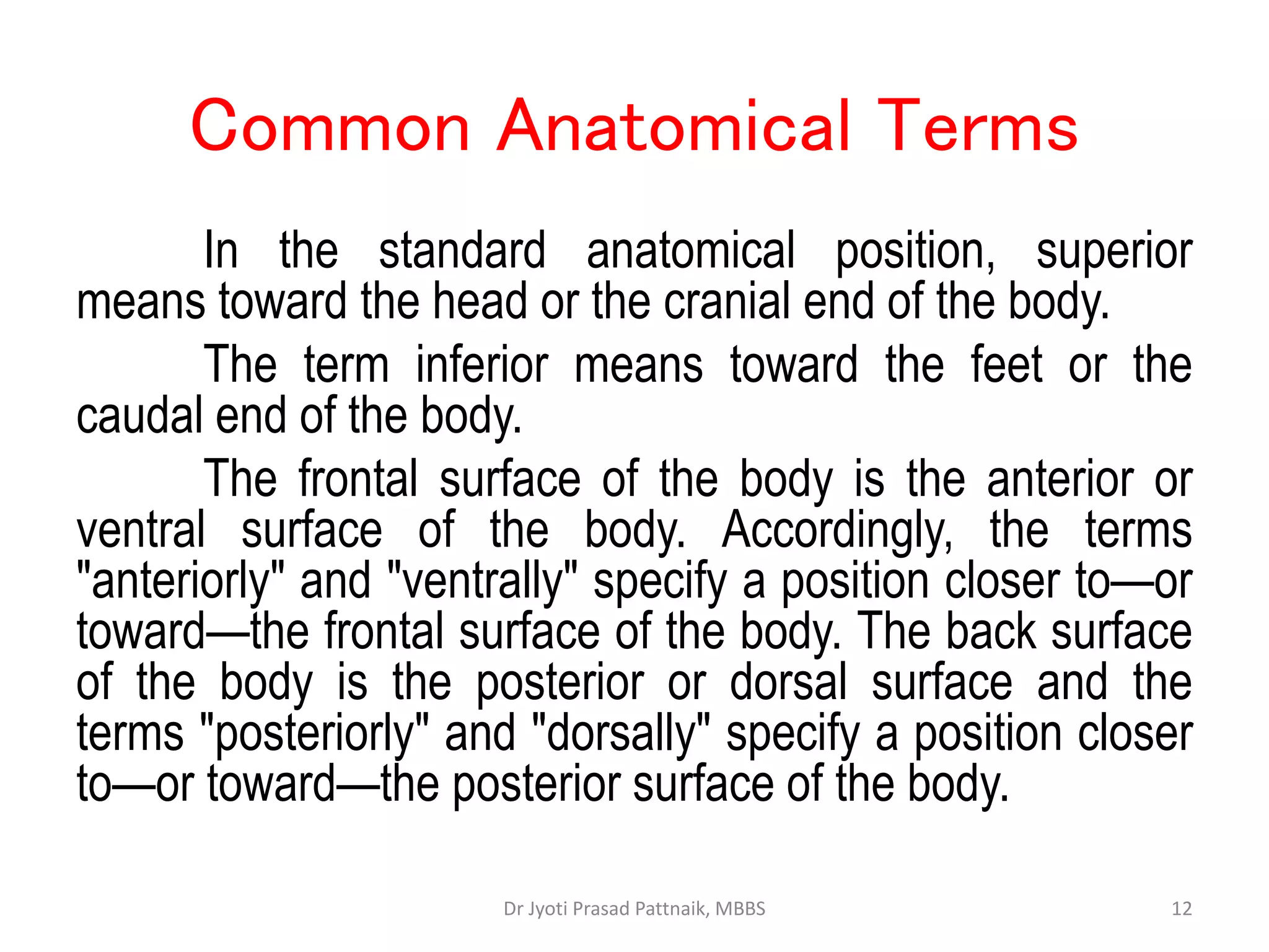 Human Anatomy and Physiology : levels of structural organization | PPT