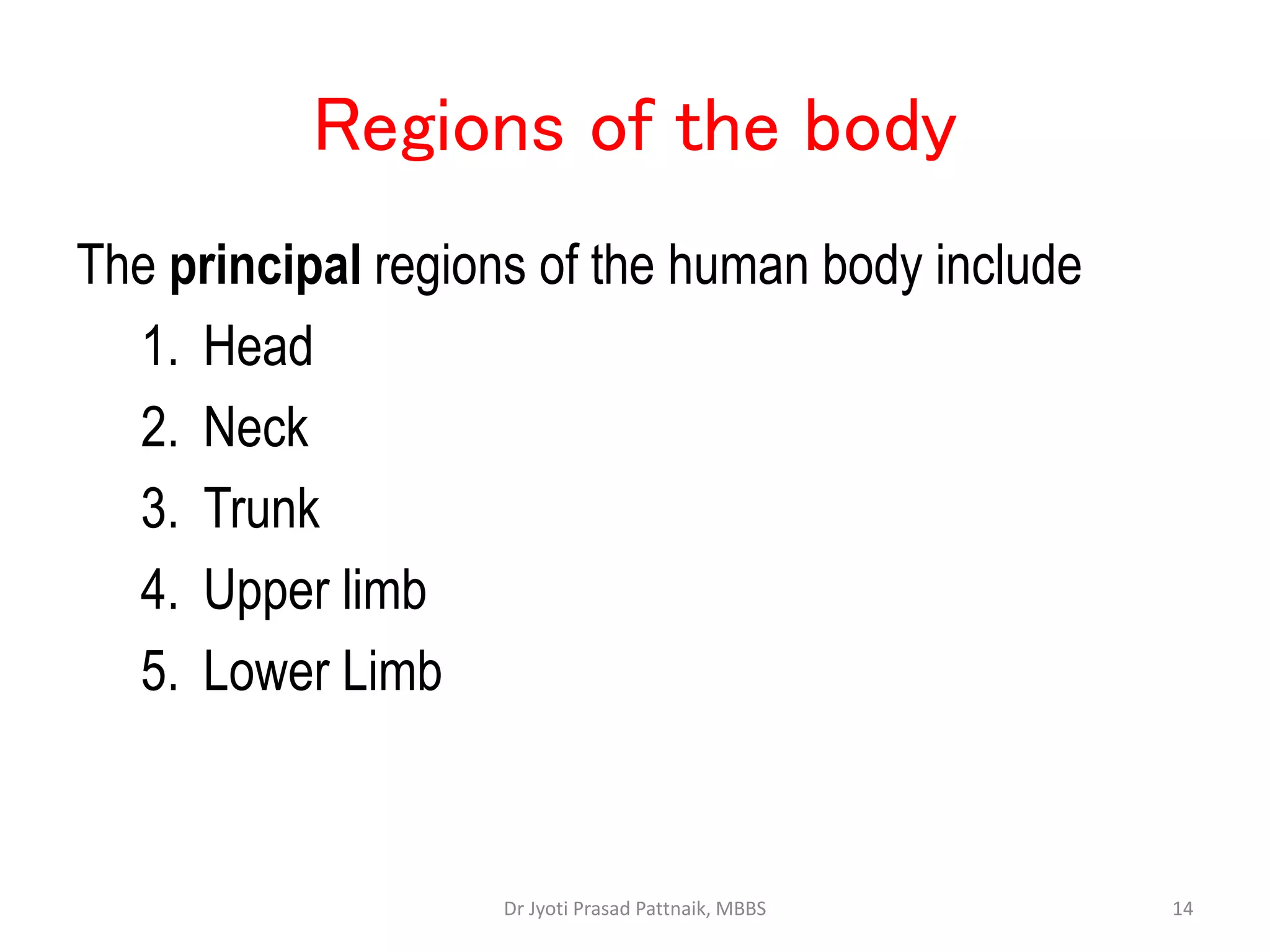 Human Anatomy and Physiology : levels of structural organization | PPT