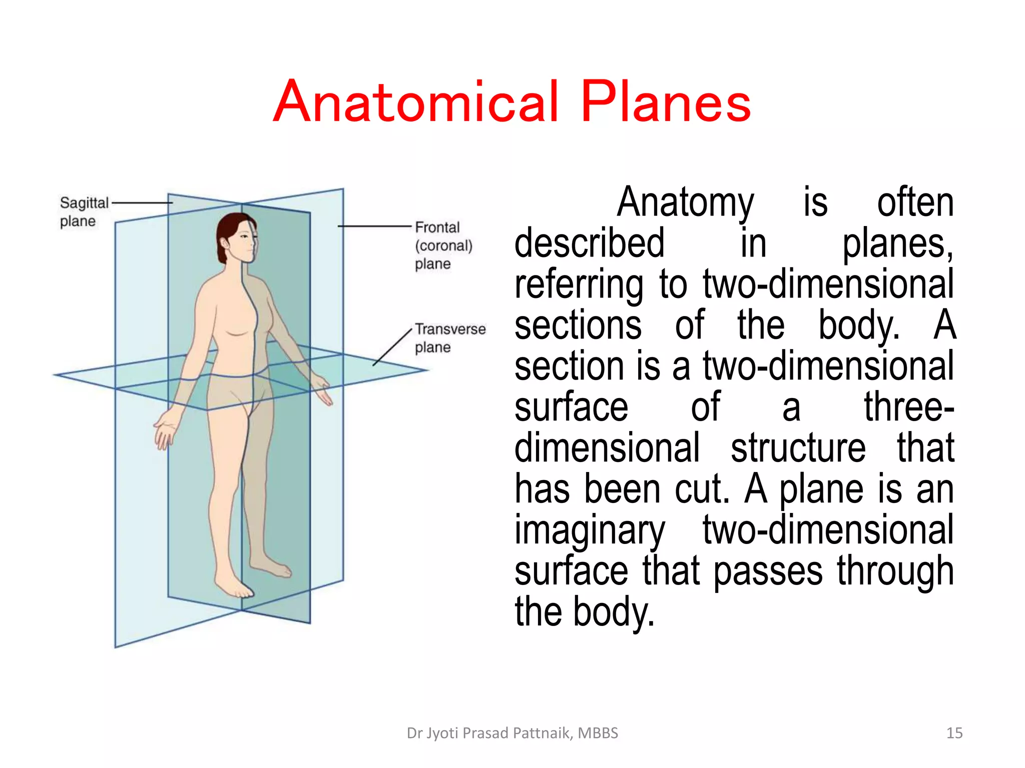 Human Anatomy and Physiology : levels of structural organization | PPT