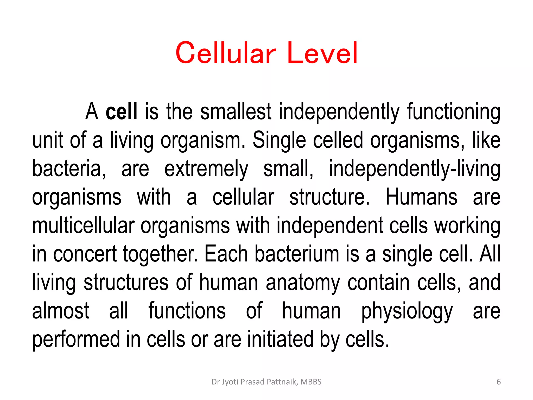 Human Anatomy and Physiology : levels of structural organization | PPT