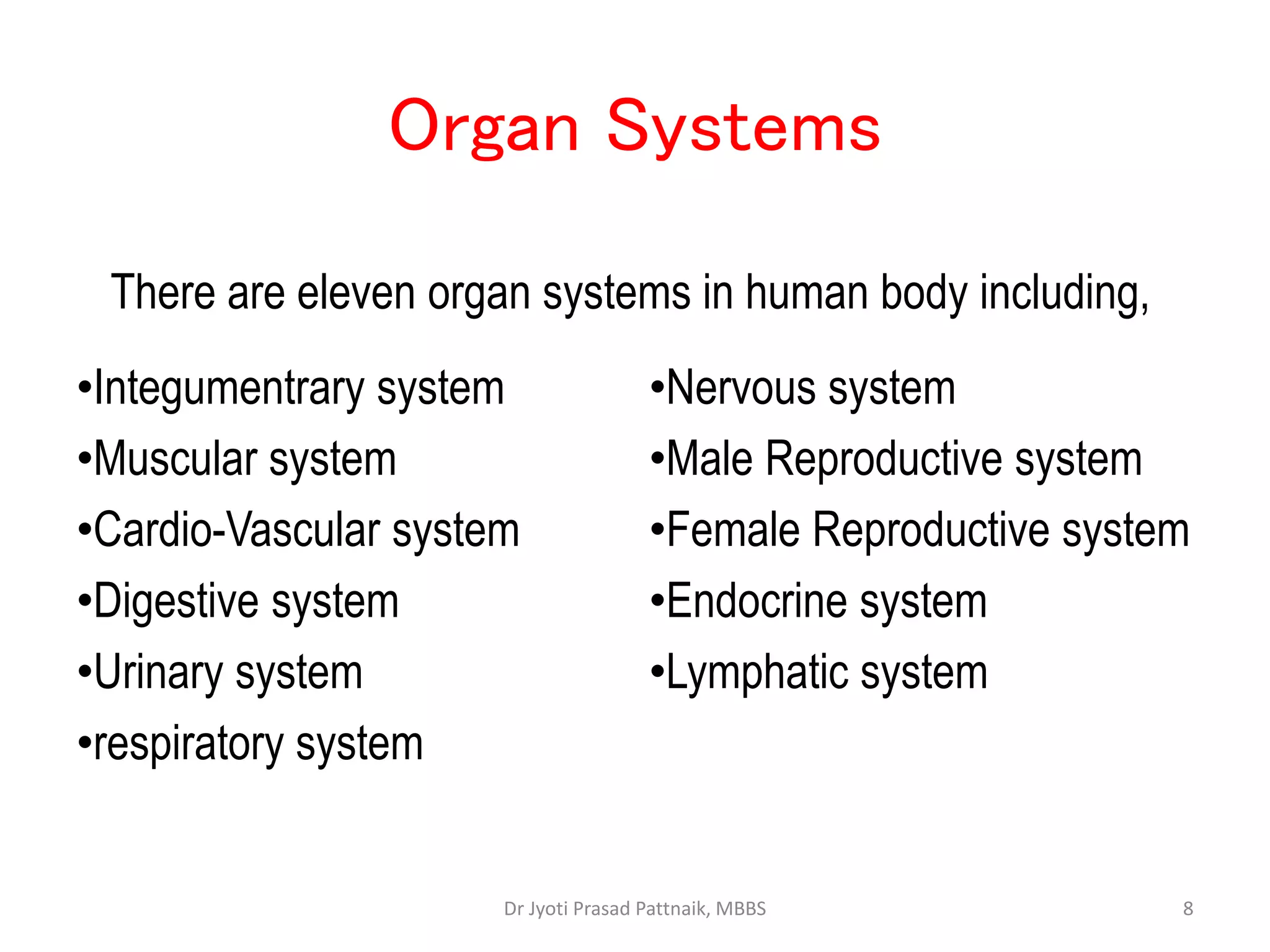 Human Anatomy and Physiology : levels of structural organization | PPT