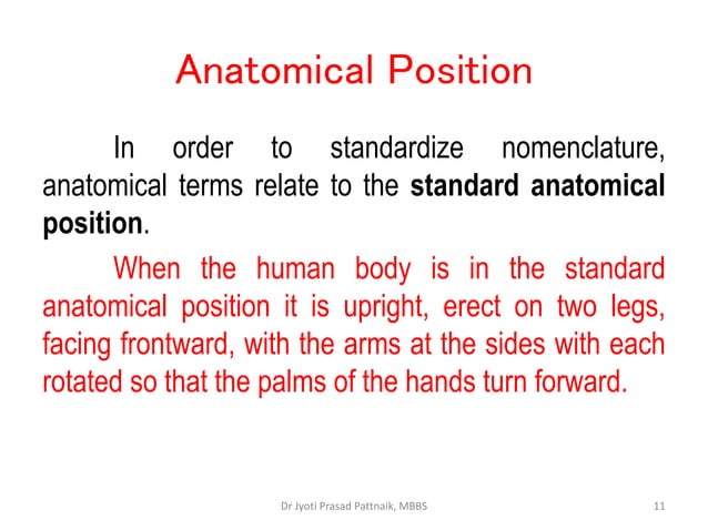 Human Anatomy and Physiology : levels of structural organization | PPT