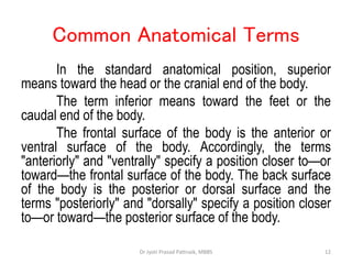 Human Anatomy and Physiology : levels of structural organization | PPT