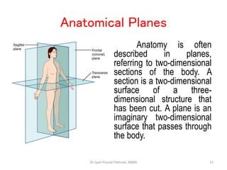 Human Anatomy and Physiology : levels of structural organization | PPT