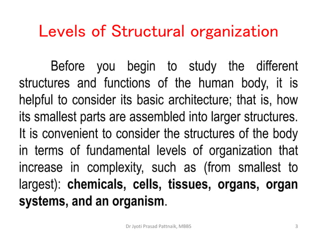 Human Anatomy and Physiology : levels of structural organization | PPT