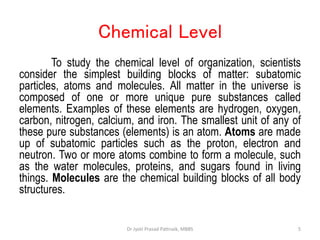 Human Anatomy and Physiology : levels of structural organization | PPT