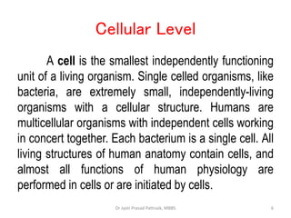 Human Anatomy and Physiology : levels of structural organization | PPT
