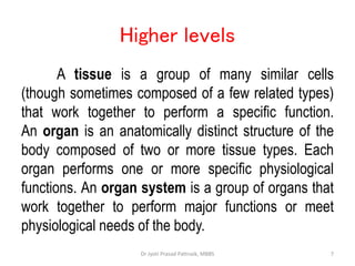 Human Anatomy and Physiology : levels of structural organization | PPT