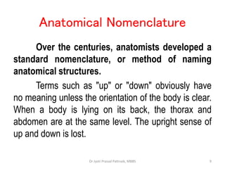 Human Anatomy and Physiology : levels of structural organization | PPT