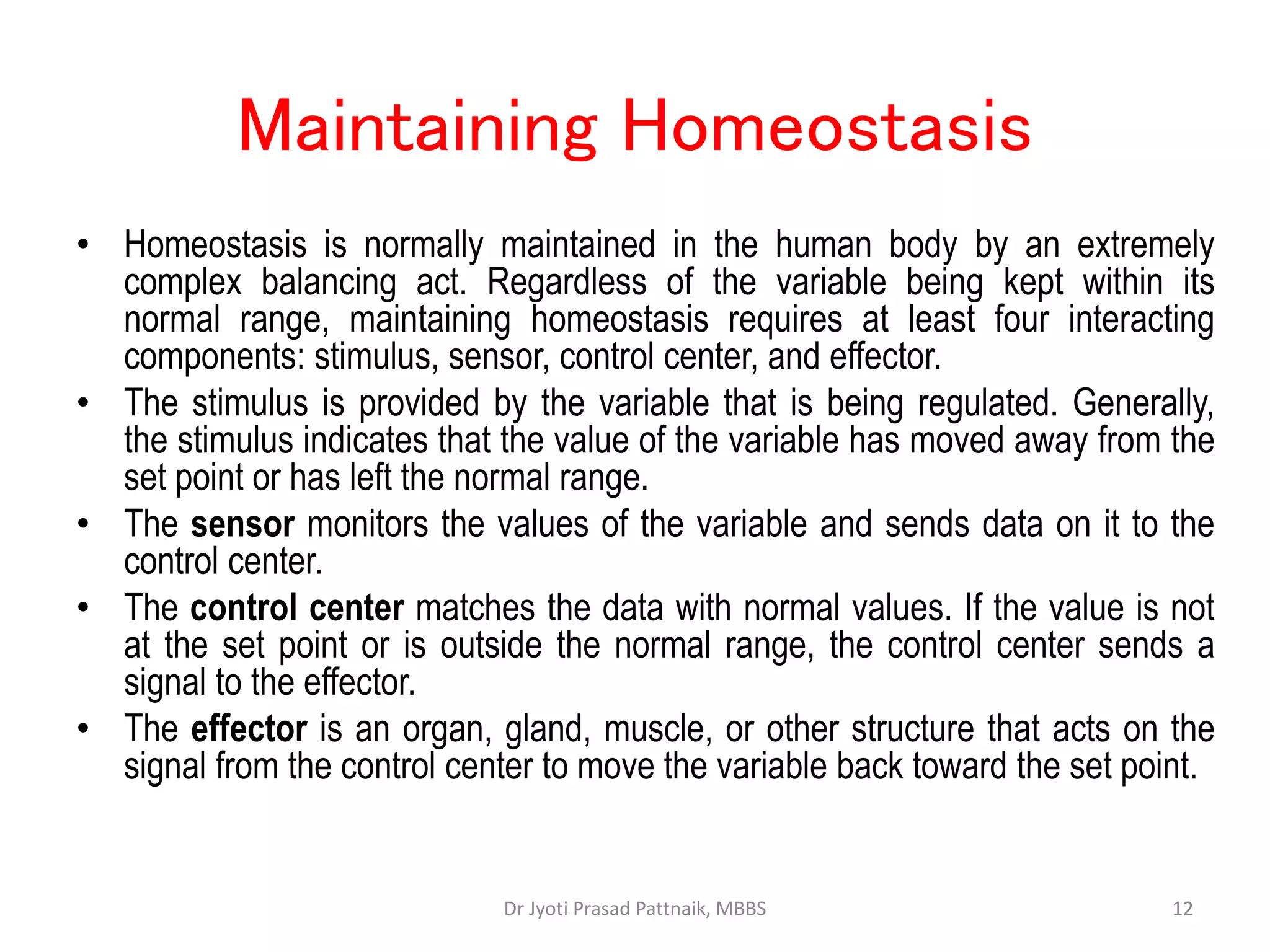 Human Anatomy and Physiology : Basic Life process, Homeostasis | PPT