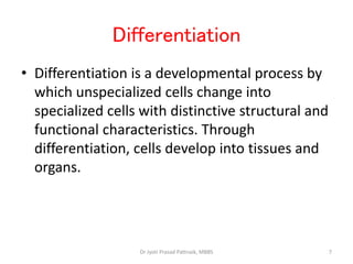 Human Anatomy and Physiology : Basic Life process, Homeostasis | PPT
