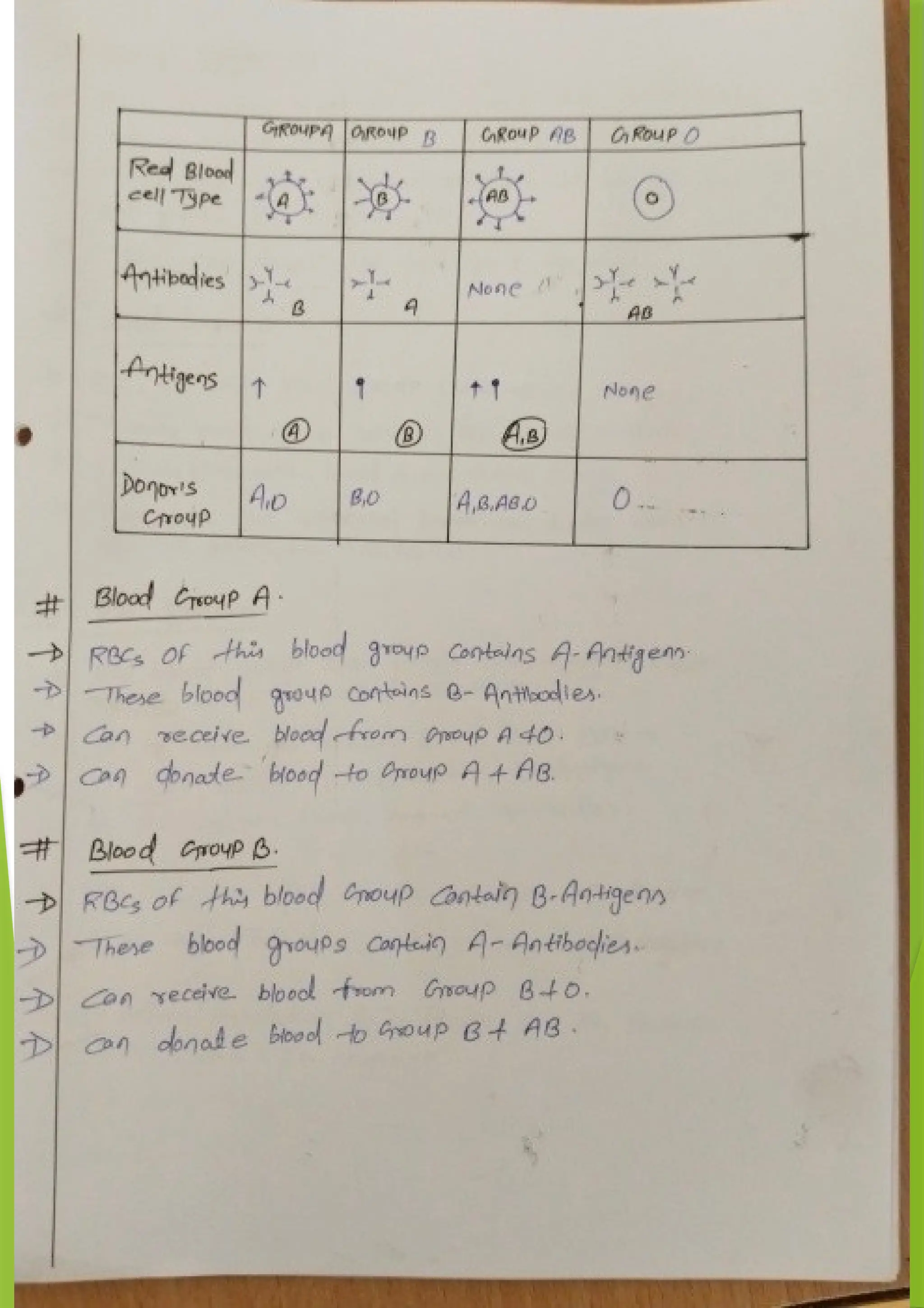 HAP-II important questions.pptx B.PHARMACY 2ND SEMESTER | PPTX