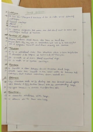 HAP-II important questions.pptx B.PHARMACY 2ND SEMESTER | PPTX