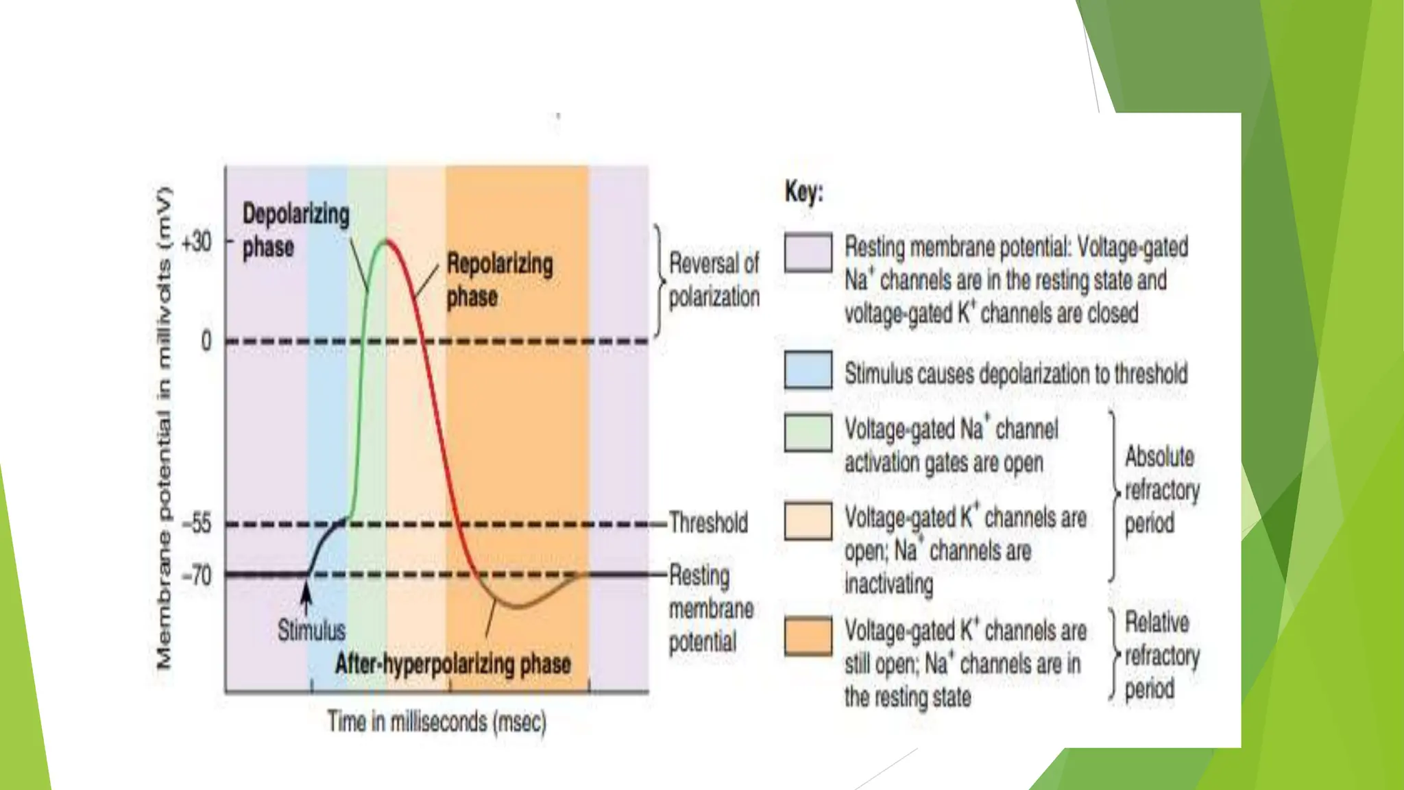 HAP 1 anatomy physiology and pathophysio | PPTX