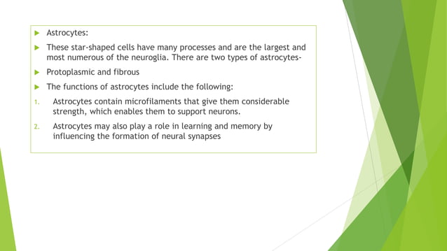 HAP 1 anatomy physiology and pathophysio | PPT